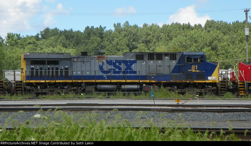 CSX 81